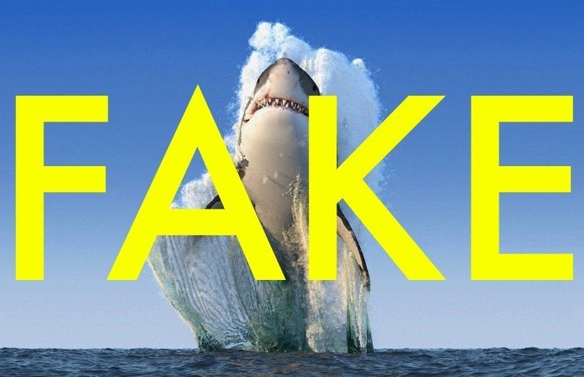 Fake viral photos you should look at | THE PHOTO ACADEMY